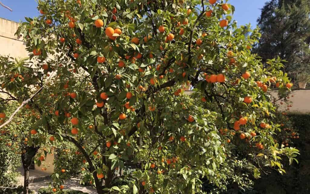 Seville Weather Guide - Seville Spain Monthly Weather - Visit-Seville.com